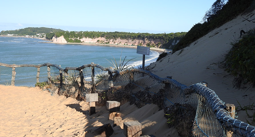 Conozca el Santuario Ecológico de la Playa de Pipa (RN) | Vive Pipa