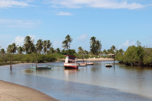 Welcome to Pipa | Vive Pipa